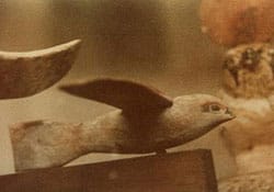 Egypt's Mysterious Saqqara Bird - Weird But True News